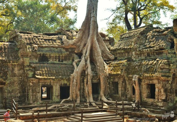 20 Fotos do Camboja que vão fazer você se apaixonar!